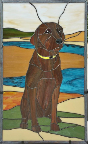 Chocolate Lab | A Glass Menagerie