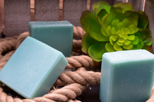Blue Agave Soap | CaptainsStash