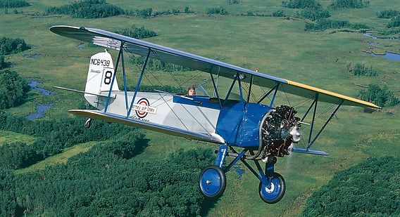 Warbird & Classic Aircraft Sales | www.platinumfighters.com