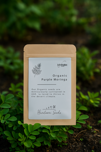 Seeds Tree Pink Purple Moringa بذور المورينغا الوردية العضوية | Myfarmdubai