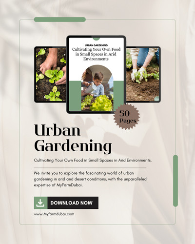 Urban Gardening in Arid Environments of the UAE | Myfarmdubai