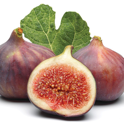 Fig 250g | Myfarmdubai