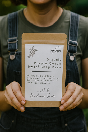 Organic Heirloom Purple Queen Dwarf Snap Bean Seeds- | Myfarmdubai