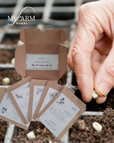 Heirloom Aromatic Seed Pack - Desert Adapted | Myfarmdubai