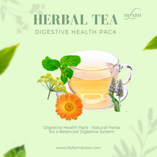 Digestive Health Pack - Natural Herbs for a Balanced Digestive System ...