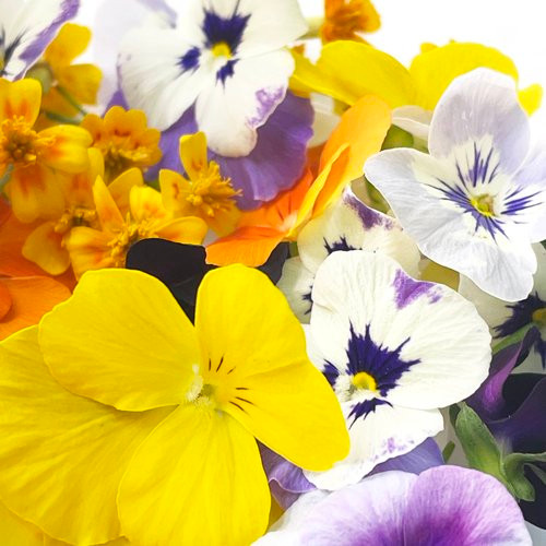 Edible flowers mix 20pc/25pc | Myfarmdubai