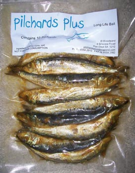 PILCHARDS PLUS