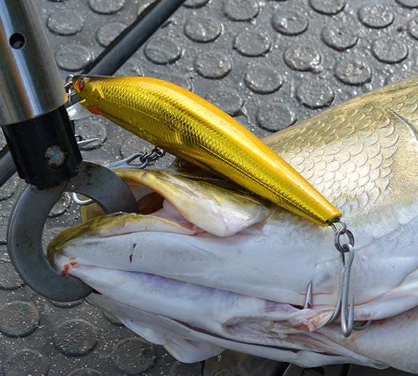 Good Gear: BARRA X PRO