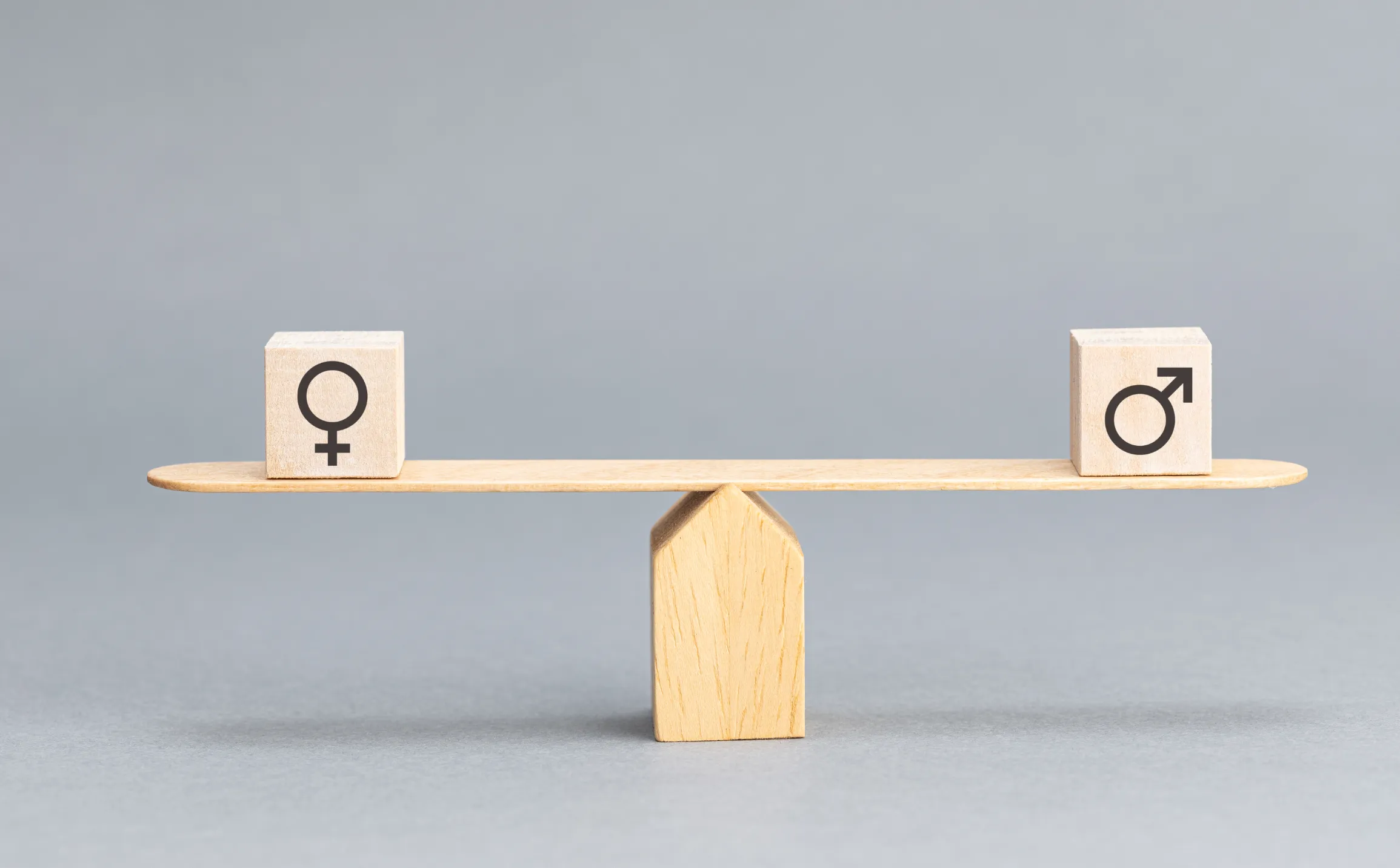 What Is The Employment Equity Committee?