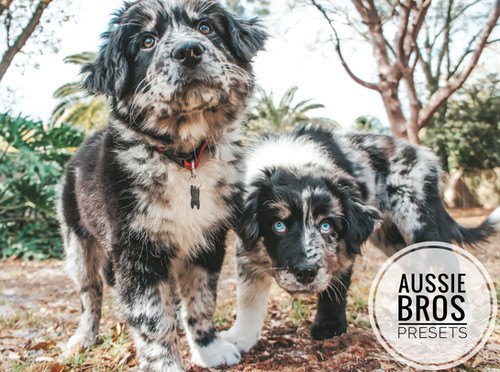 Aussie Bros LR Mobile Preset Pack - 12 Presets | The Aussie Bros Co