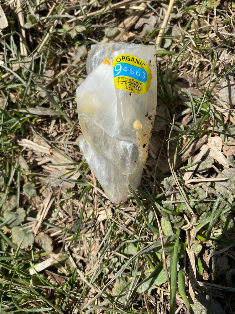 Organic contaminants?