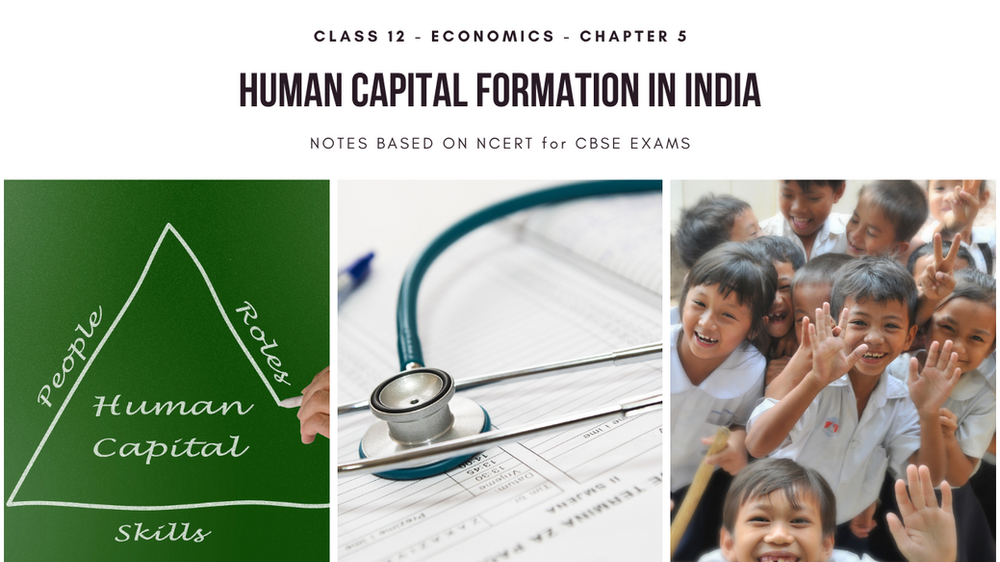 Human Capital Formation In India Class 12 Indian Economic Development Human Capital Formation In India Class 12 Indian Economic Development
