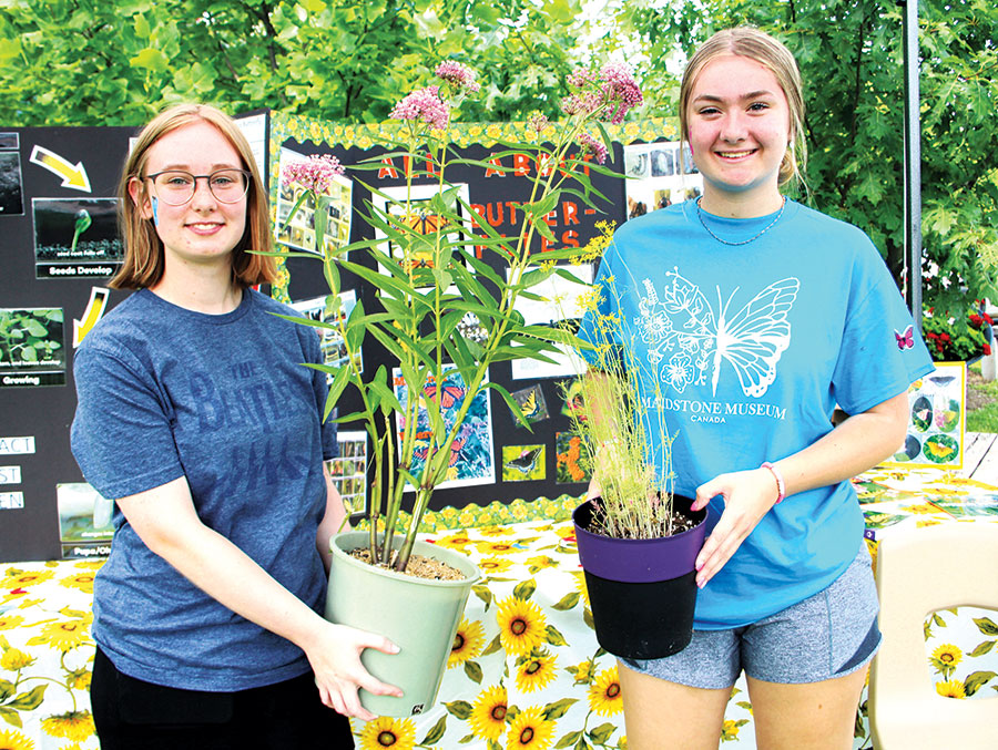Pollinator Day teaches the importance of native plants, proper garden care