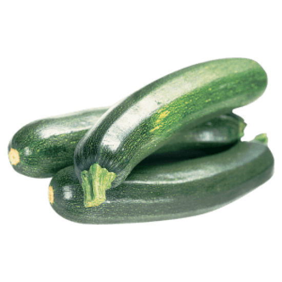 Best Online Wellness and Health Expert in India - Ayuska