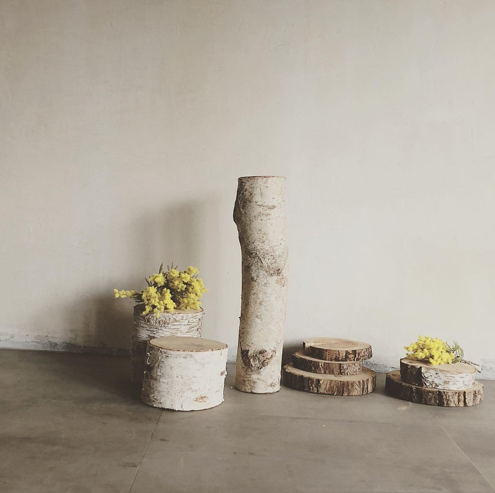 VRILLプロップ新着