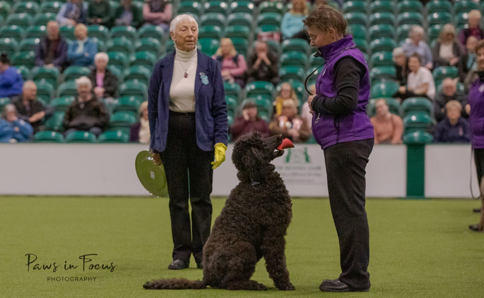 What is Obreedience | DOG Sports UK