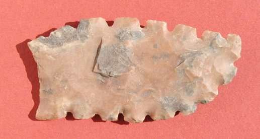 Economic patterns | karankawa-tribe