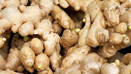 Ginger | Infragenx Export | Exporter from India to World