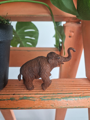 Woolly Mammoth Calf | Steg And Rex