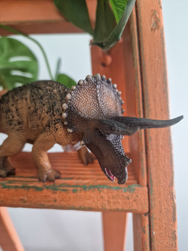 Triceratops Running | Steg And Rex