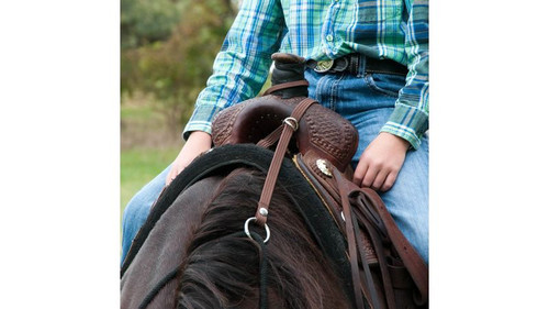 Booma Rein | Cranky Horse Swivels