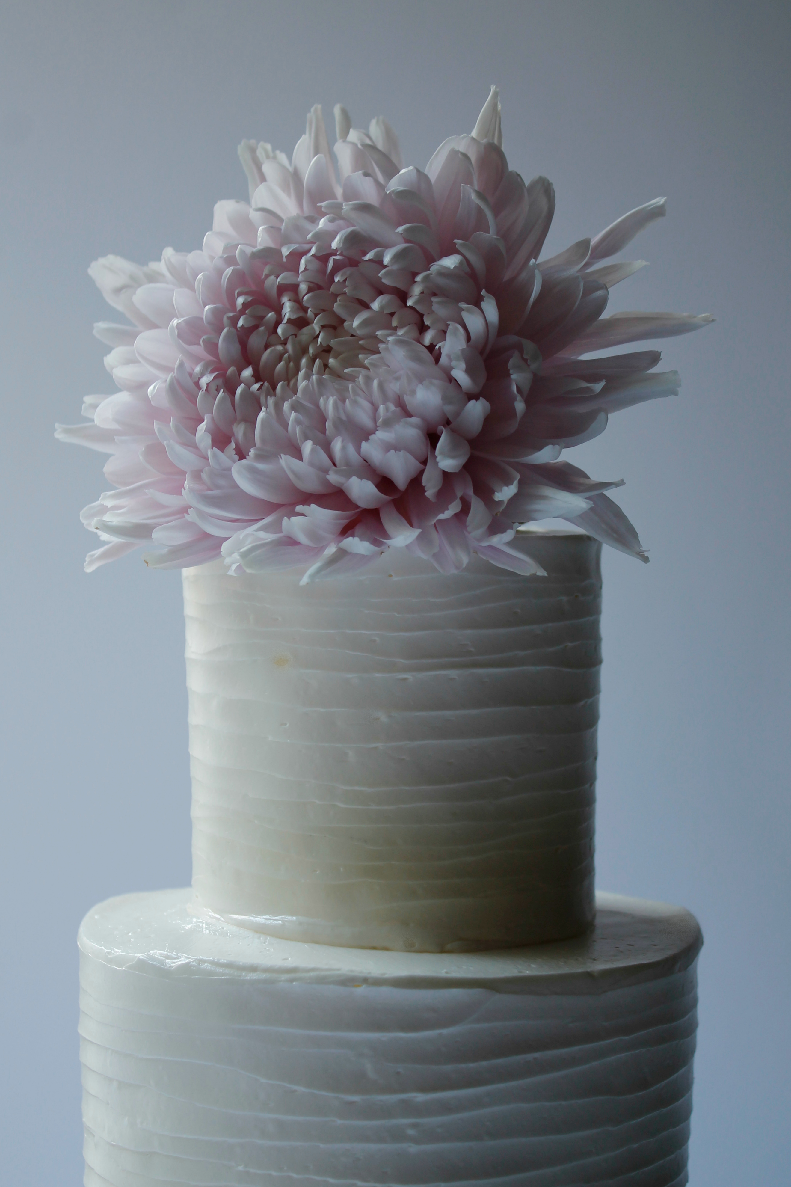 Wedding Cake | Cathy Huber Cakes