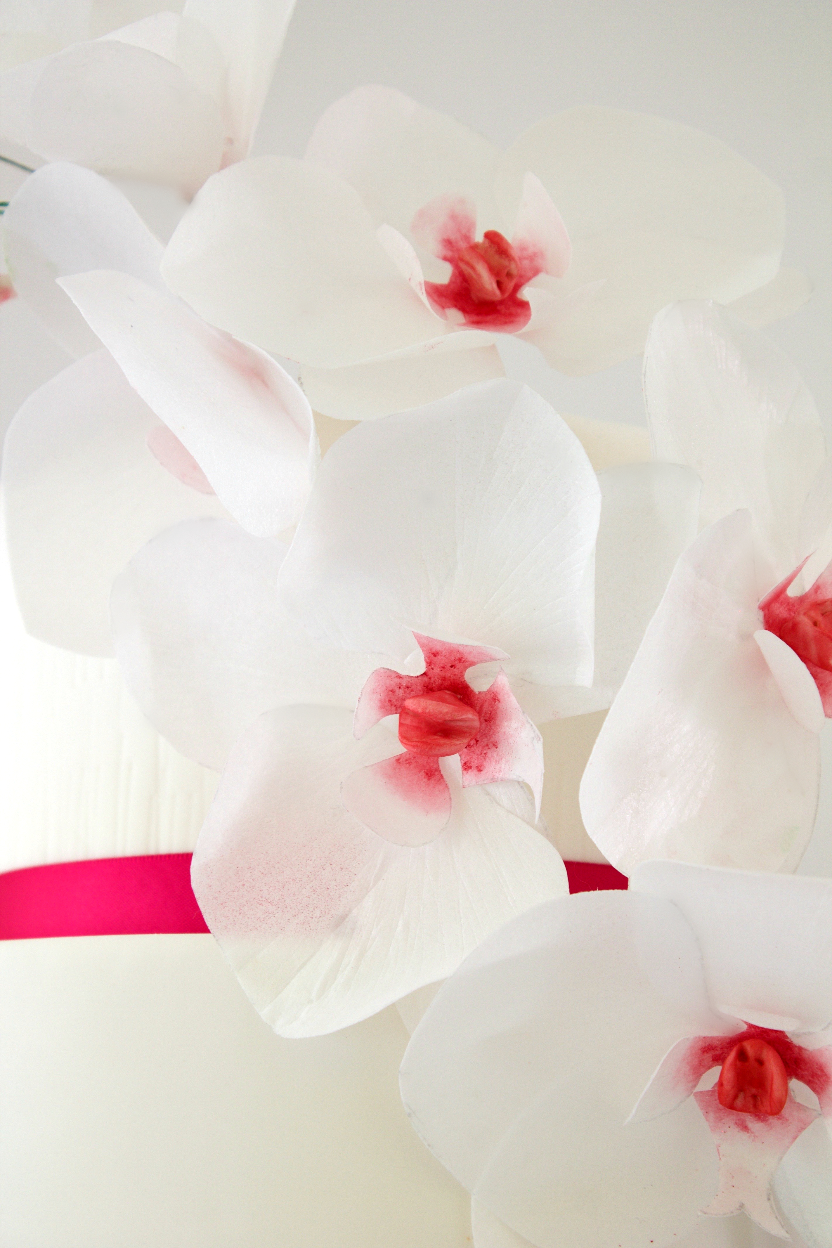 Wedding Cake | Cathy Huber Cakes