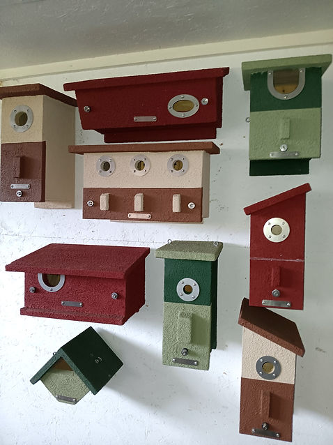 About Us | Eco-roost | Bat & Bird Boxes | Expertly Designed | External ...