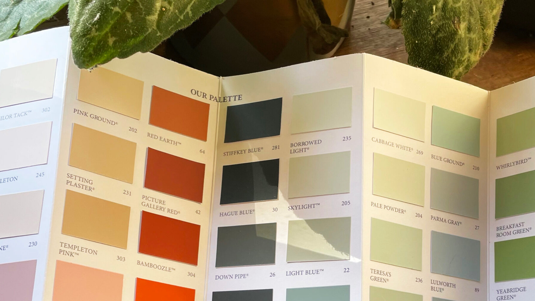 MY TOP 10 PAINTS RIGHT NOW