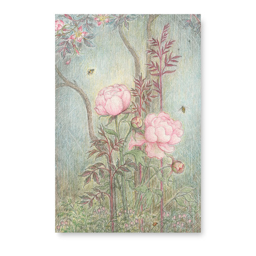 Peonies | Helen Stewart
