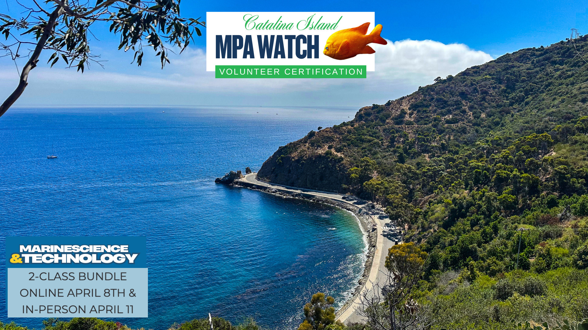 MPA Watch Class Bundle & Certification | HFAdventureCommunity