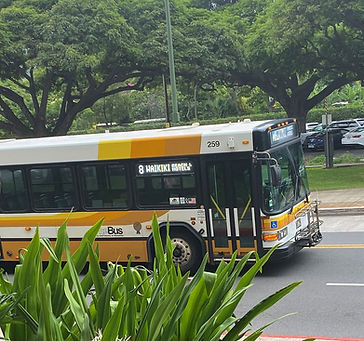The Bus | thehawaiiconnection