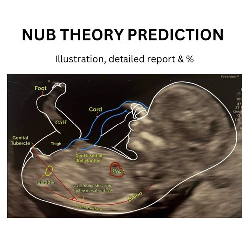 NUB THEORY PACKAGES | The Nub Techs