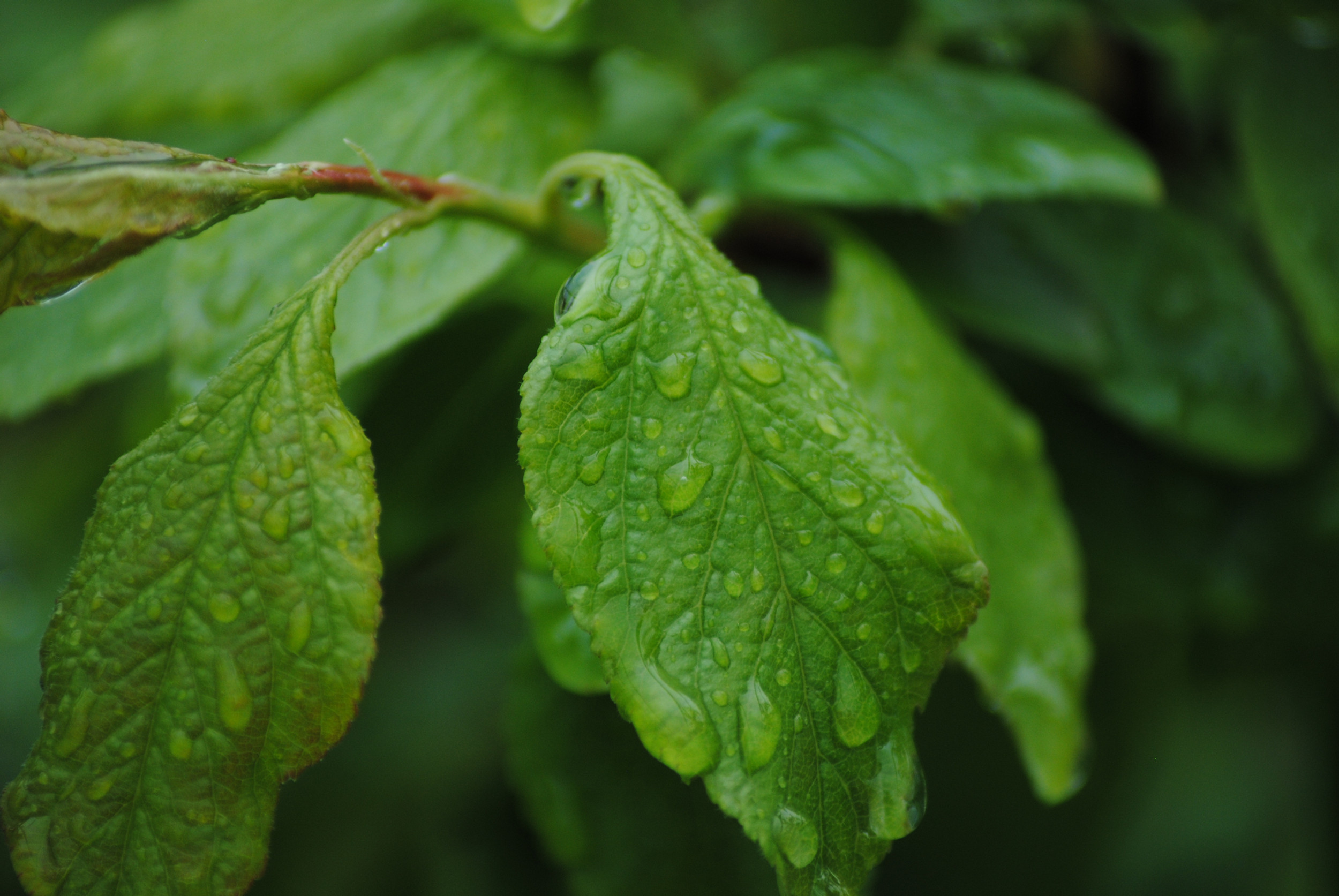 We protect | VOEN Covering Systems