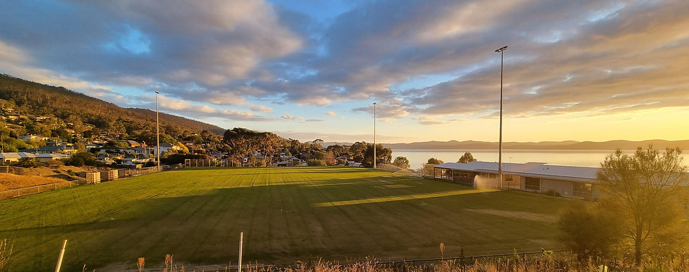 Kelvedon Park Update - April