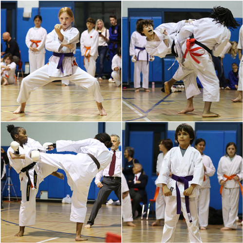 Kids Intermediate/Advanced Karate Team 3&4 Days per week January-May | nosa