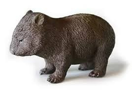 Large Wombat Plastic Figurine | The Puzzle People
