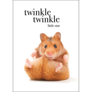 Twinkle Twinkle Little Star Greetings Card | The Puzzle People