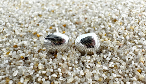 Mini cockle shell studs | Hare and Moon Jewel