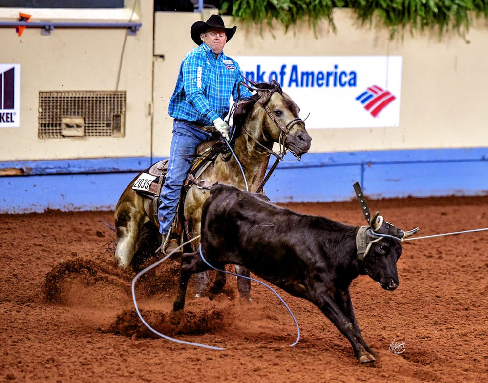 Rope Horse Revolution