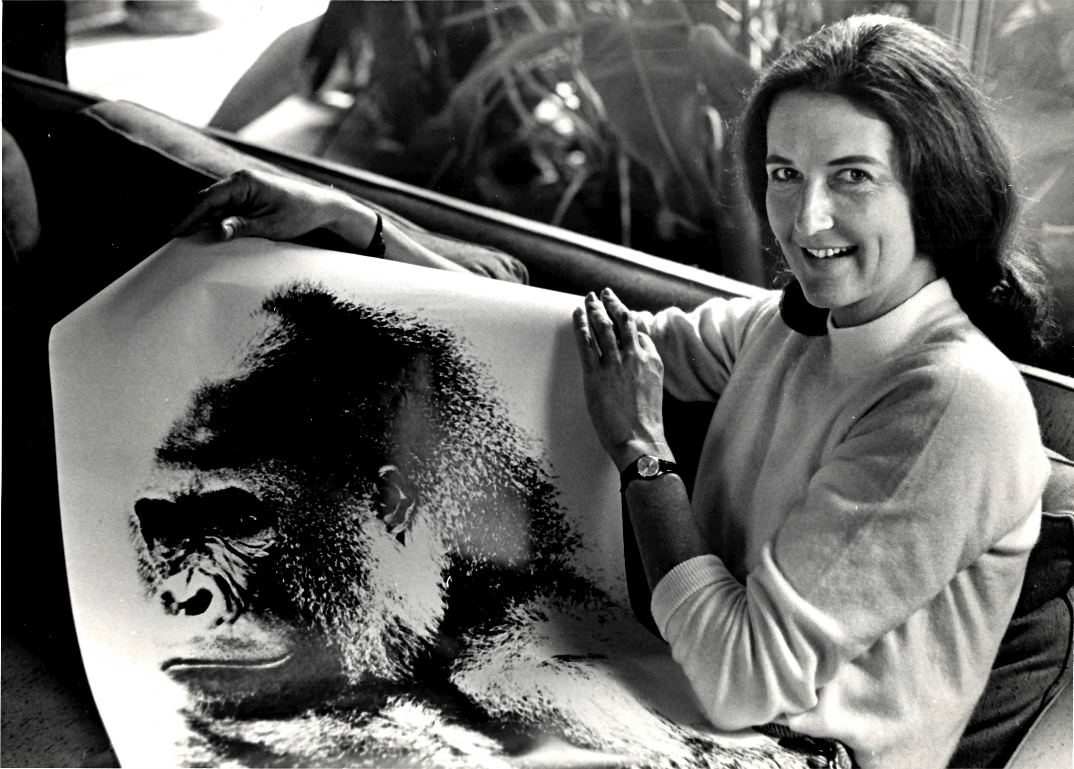 The Tragedy of Dian Fossey