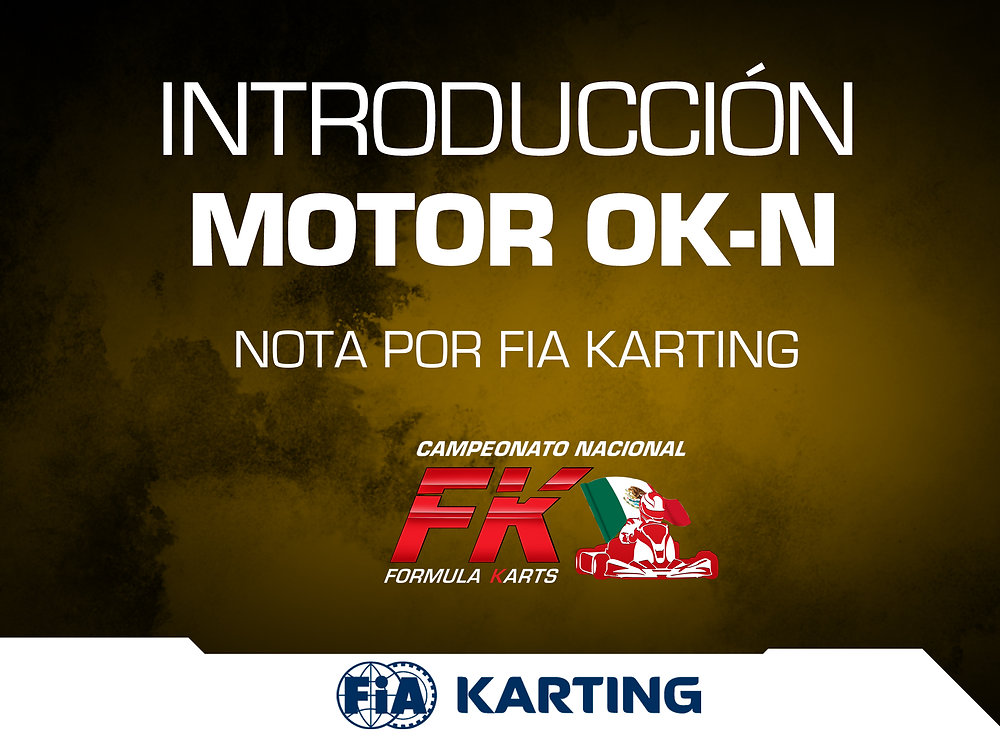 NOTA FIA KARTING MOTOR OK-N