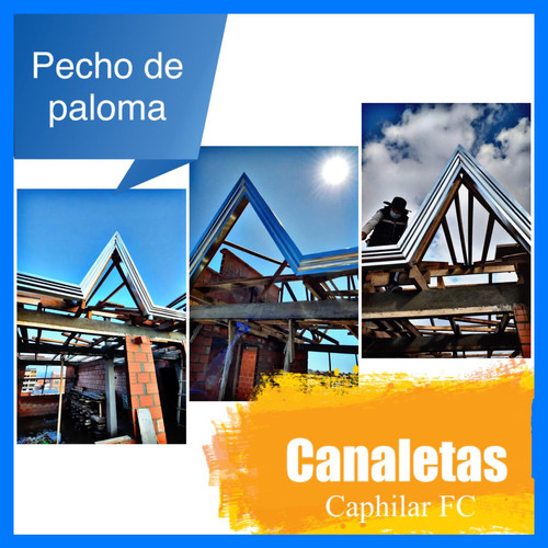 Pecho de Paloma | Canaletas Caphilar