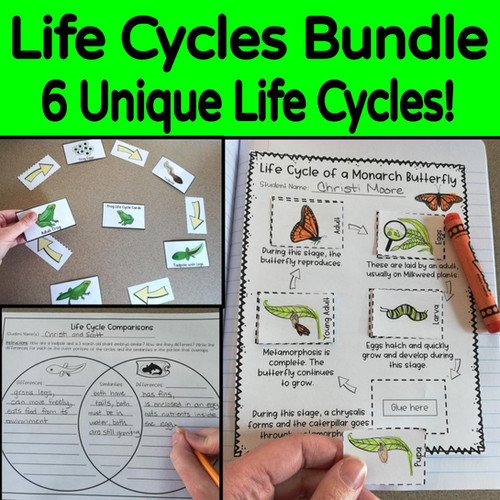 Life Cycles Activities & Assessments | mysite