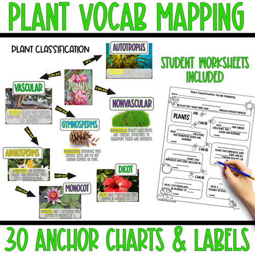 Plant Unit Vocab Mapping Anchor Charts & Review Sheets | mysite