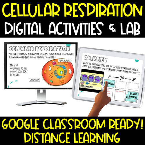 Cellular Respiration Interactive Google Slides | mysite