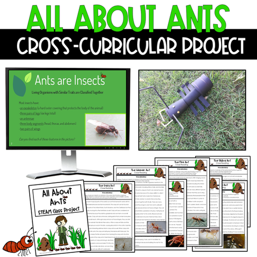 Science, Reading, Writing Project Based Learning-All About Ants | mysite