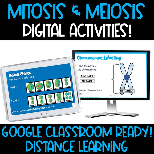 Mitosis and Meiosis Digital Activities | mysite