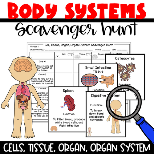 Human Body Systems - Scavenger Hunt | mysite