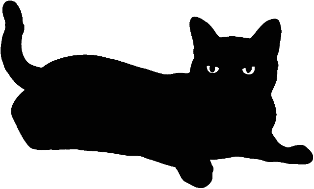 Cat Grooming Perth | Exclusive Cat Groomer | Purrf Cat Grooming